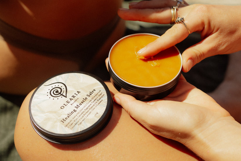 Herbal Muscle Salve for Sore & Tired Muscles | Olearia Botanics
